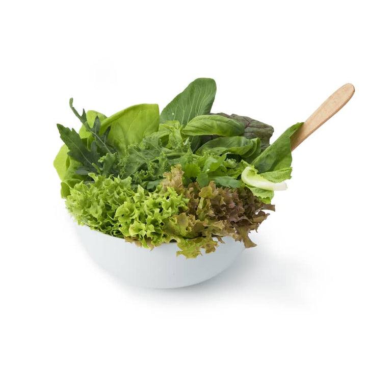 Hydroponic Salad Mix