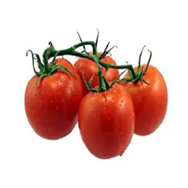 Tomato (Tamatar) - Organically grown, 500g – Onlyhydroponics